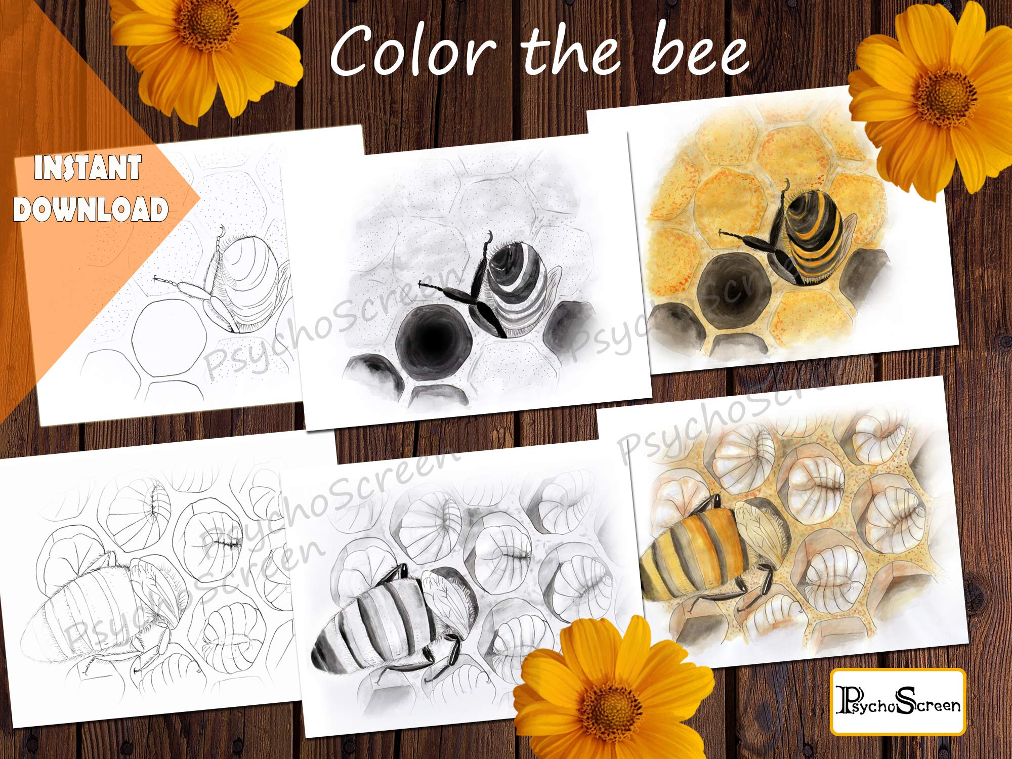 HONEY BEE Learning material, Printable set for coloring and learning ...