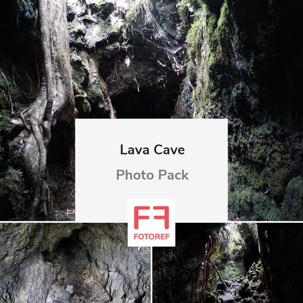 103 photos of Lava Cave