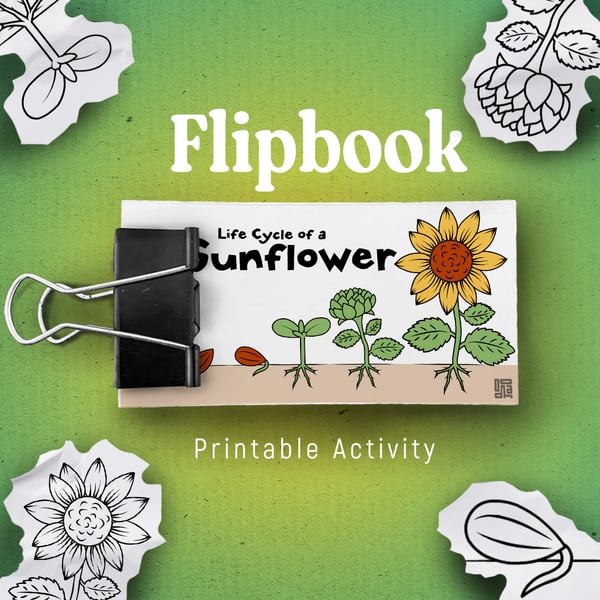 Life cycles printable flipbook activities #1 - butterfly, sunflower ...