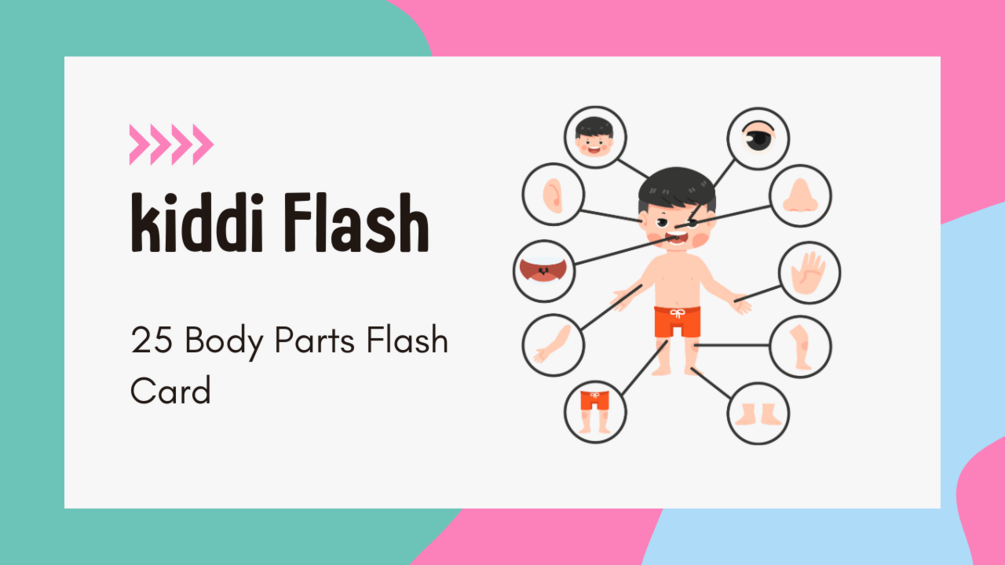 25 Body Parts Flash Cards By Kiddi Flash