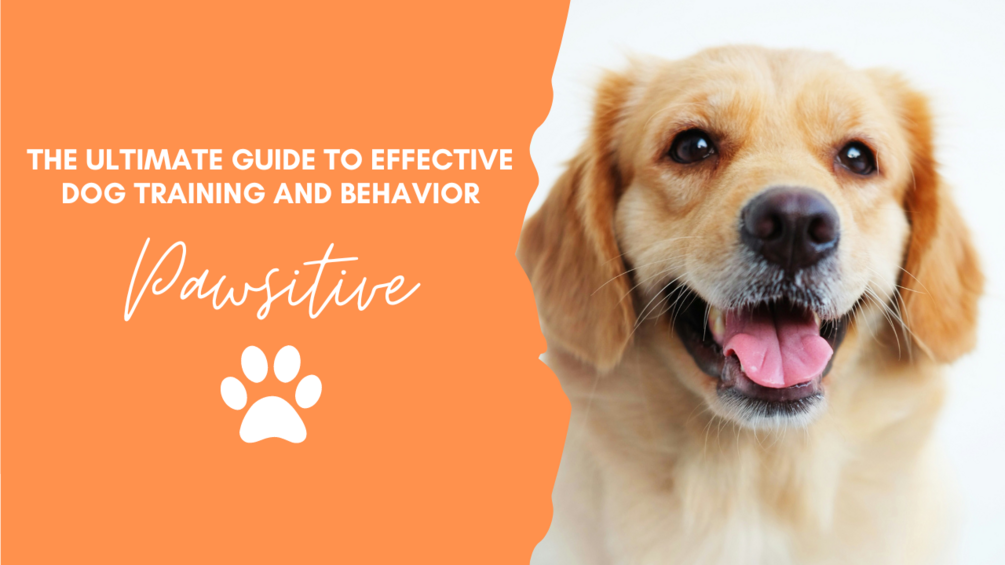 The Ultimate Guide to Effective Dog Training and Behavior (PDF eBook)