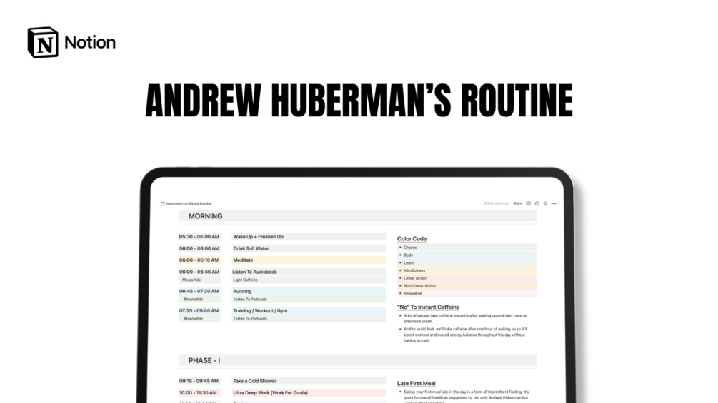 Andrew Huberman’s Daily Routine