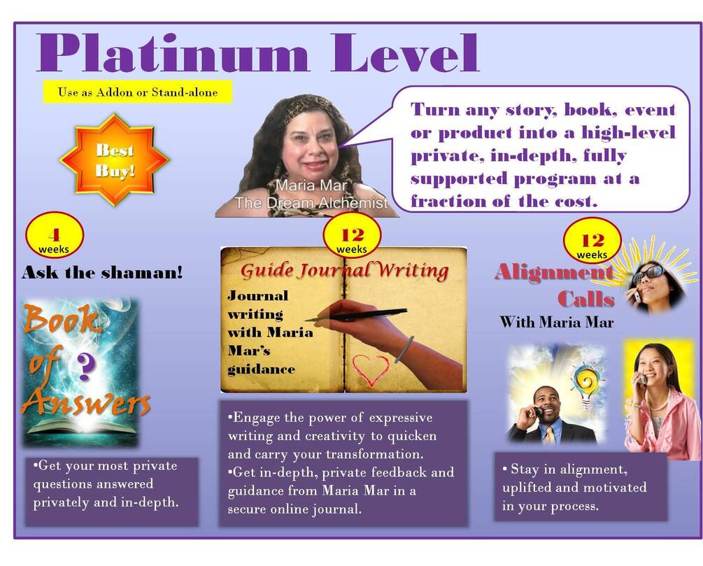 Platinum Level Support