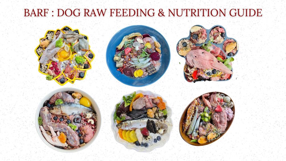 BARF: Raw Dog Feeding Nutrition Recipes | Raw Diet for All Breeds ...