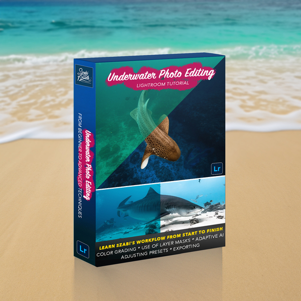 SN | Underwater Lightroom Photo Editing Bundle
