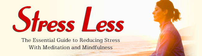 STRESS LESS