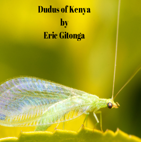 Dudus of Kenya e-book