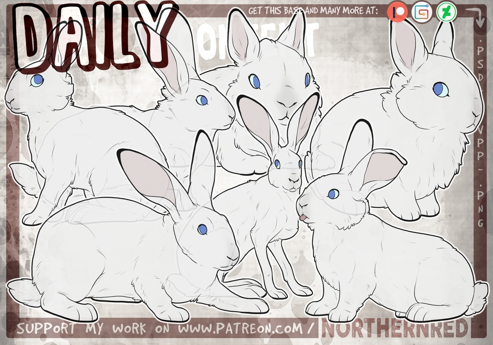 7x RABBIT (bundle)