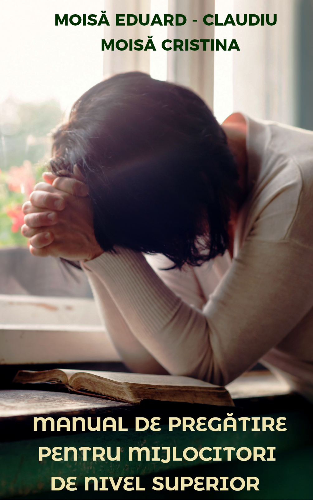 MANUAL DE PREGATIRE PENTRU MIJLOCITORI DE NIVEL SUPERIOR