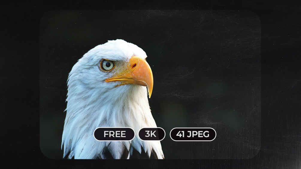 30 Scratch Textures[ Free Premium Pack]