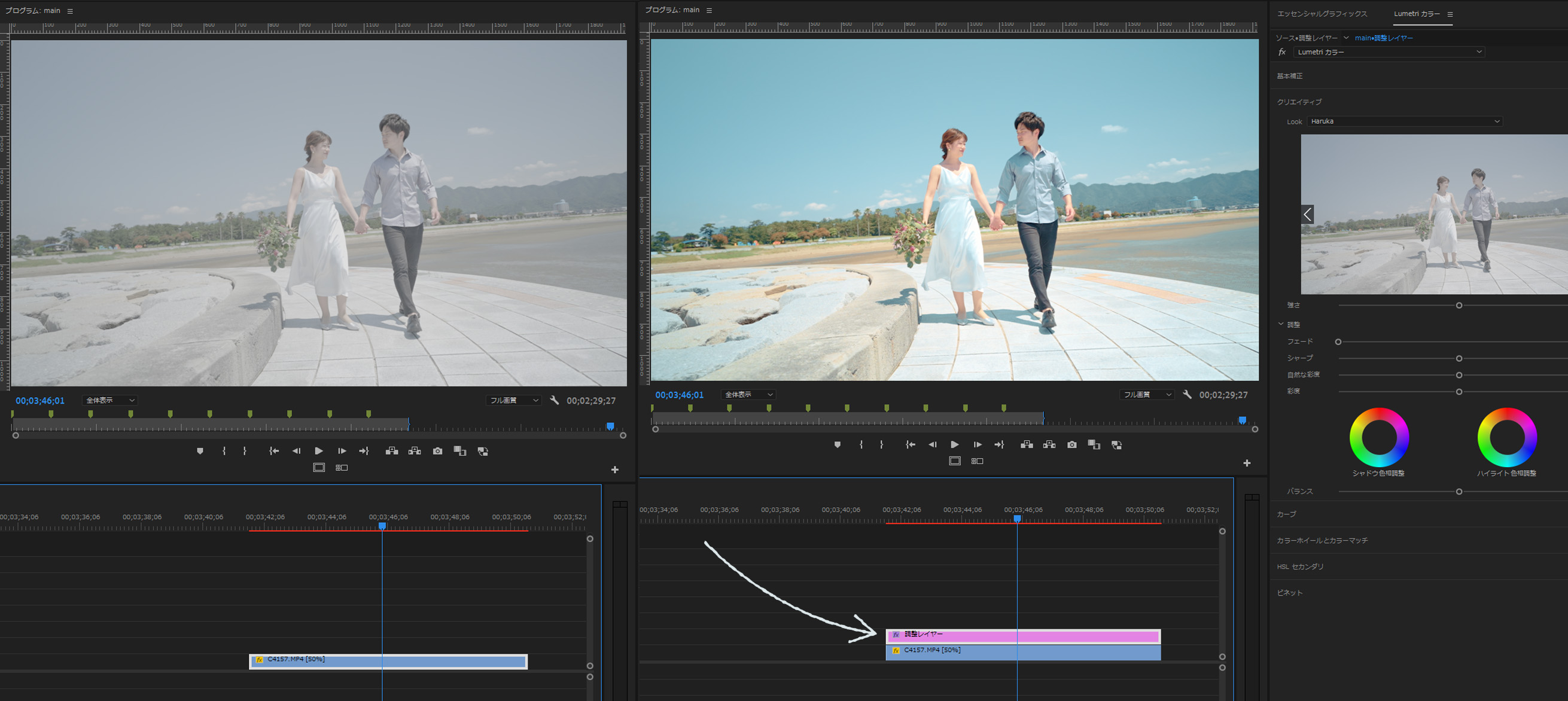 JAPAN Cinema S-log Lut Pack