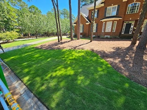 Turf Selling in Cheraw SC | Turf Connections