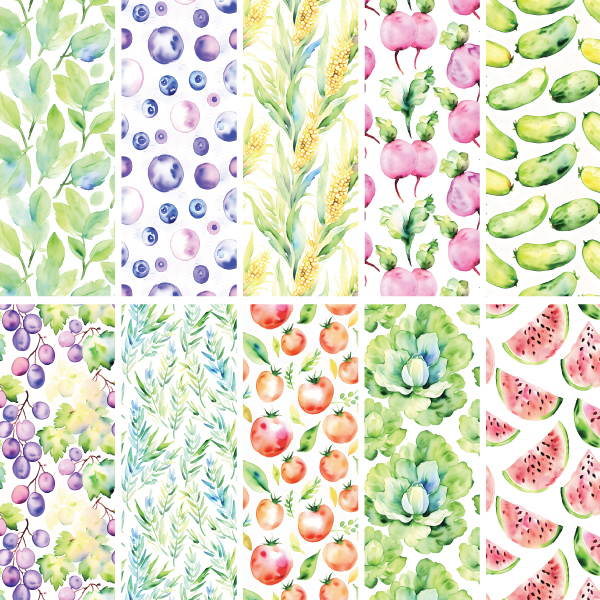 Color Craft Studio