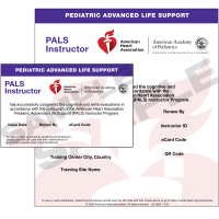 PALS Instructor eCard