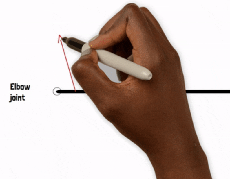 Elbow Free Body Diagram Gif