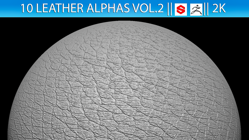 10 Leather Alphas Vol.2 (ZBrush, Substance, 2K)