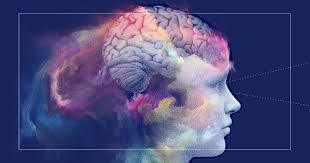 Creator Brain: The Ultimate Second Brain for Notion