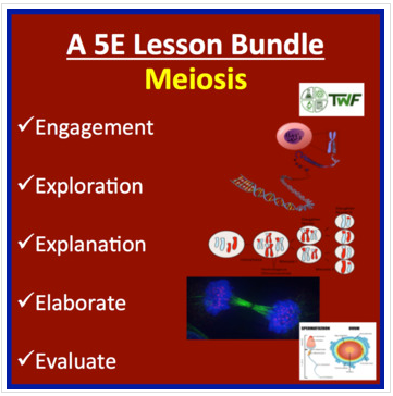 Meiosis - Complete 5E Lesson Bundle