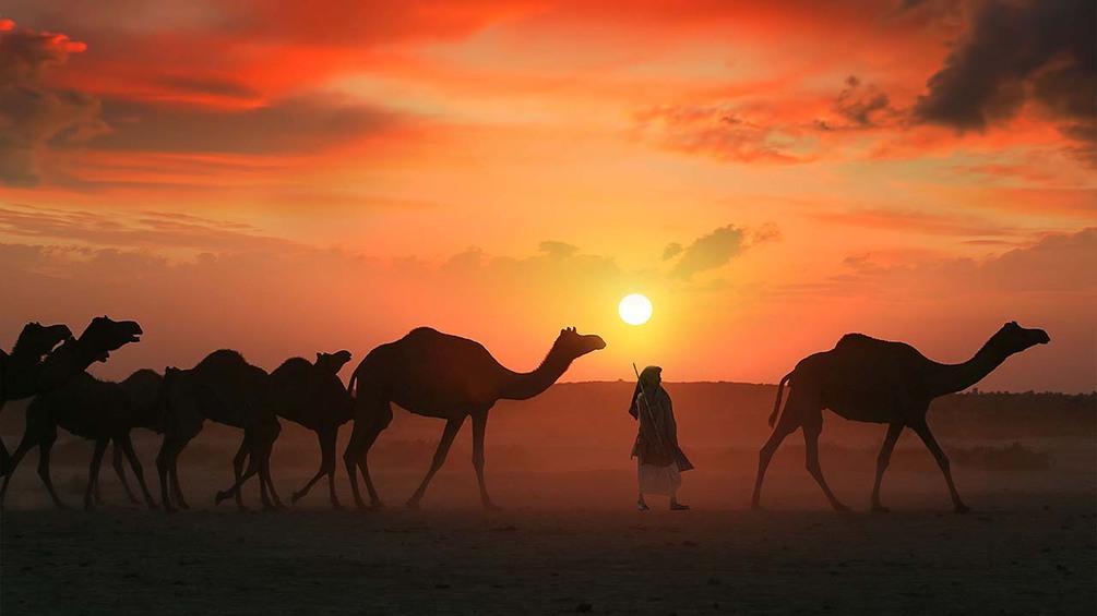 Folk Life of Cholistan
