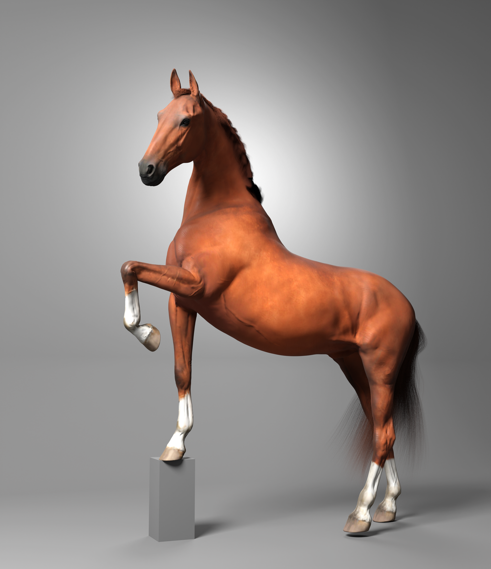 Realistic Horse,rigged,fbx,4k textures