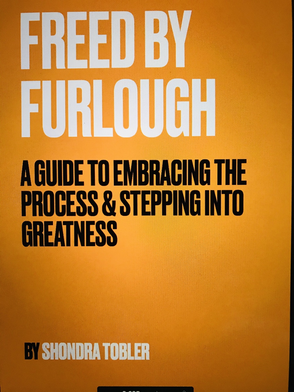 Freed by Furlough: A Guide to Embracing the Process & Stepping Into ...