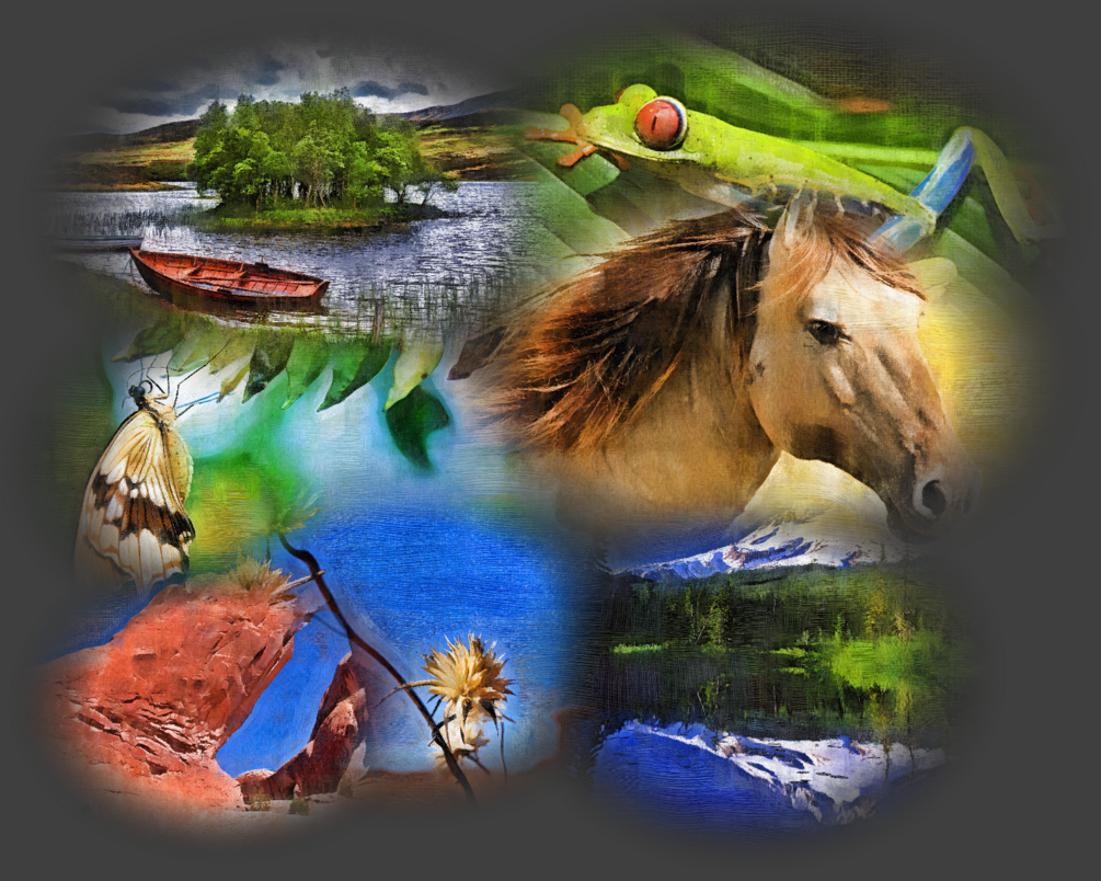 Nature Photo Collage