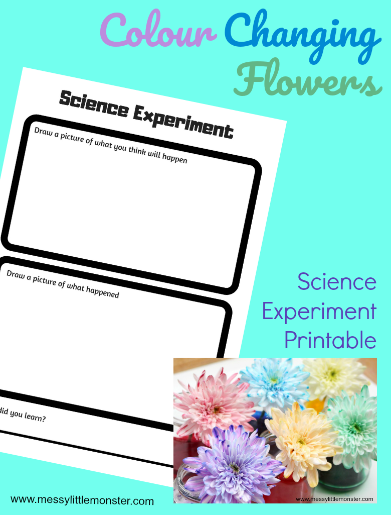 Science Experiment Worksheet