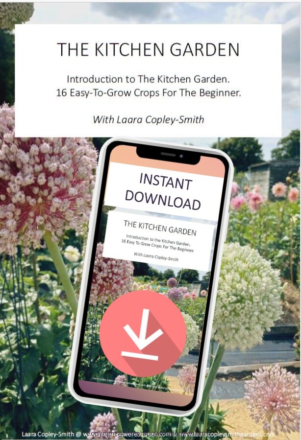 THE KITCHEN GARDEN - An Introduction to The Kitchen Garden - 16 Easy-to ...