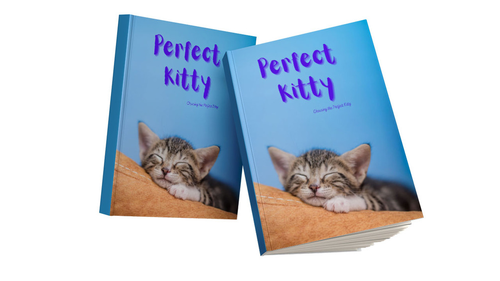 Perfect Kitty