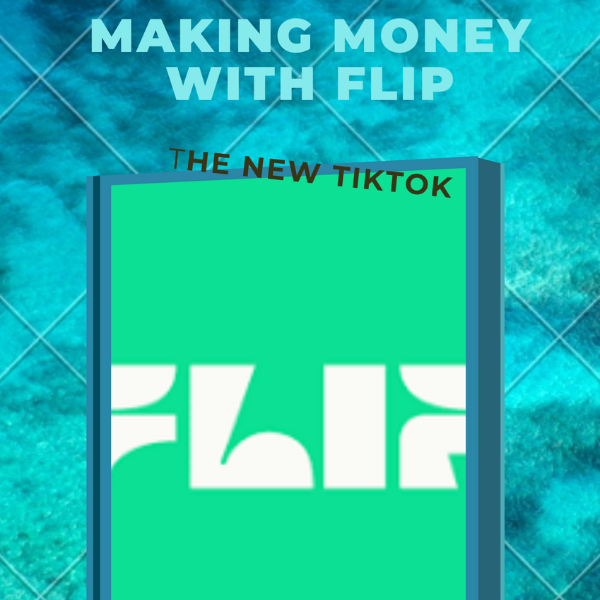 Making Money with Flip: A Comprehensive Guide