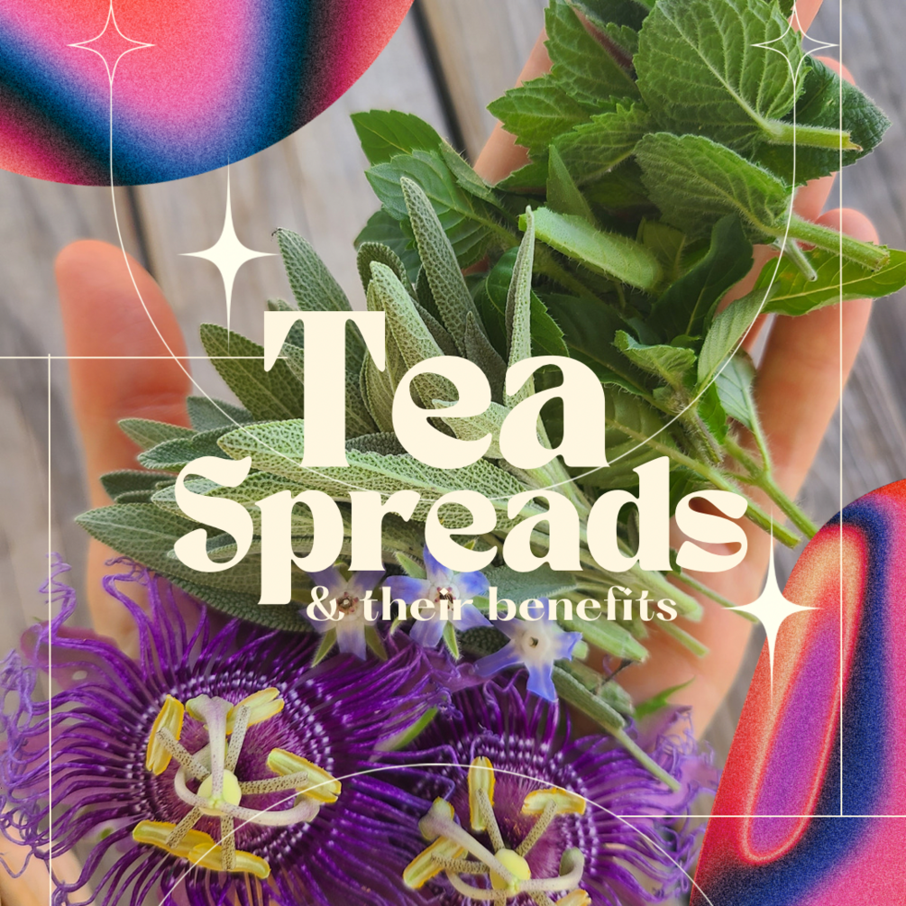 Tea combinations, a look at their medicinal benefits & how to grow your own