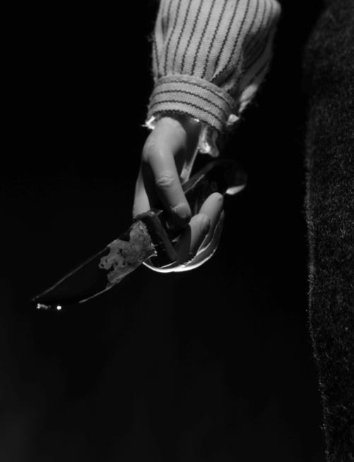 The Shutterbug Man- THE DIGITAL COMPANION BOOK