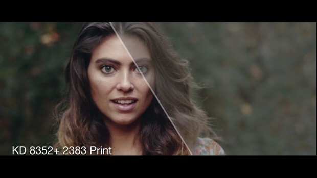 Rocket Rooster Cine Bundle FREE Infra Looks