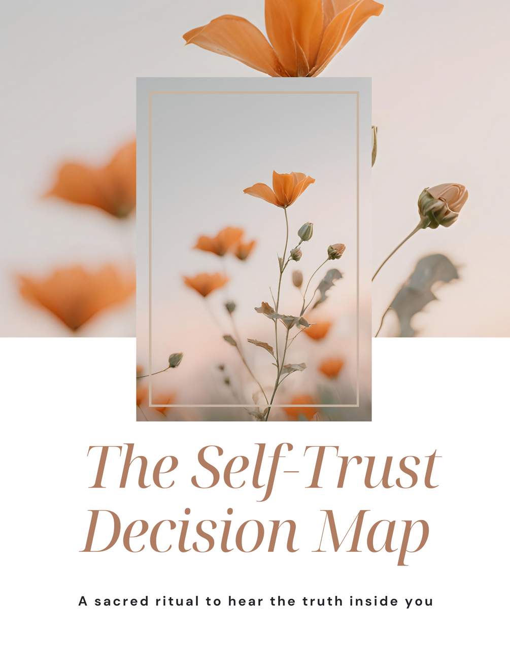 The Self-Trust Decision Map