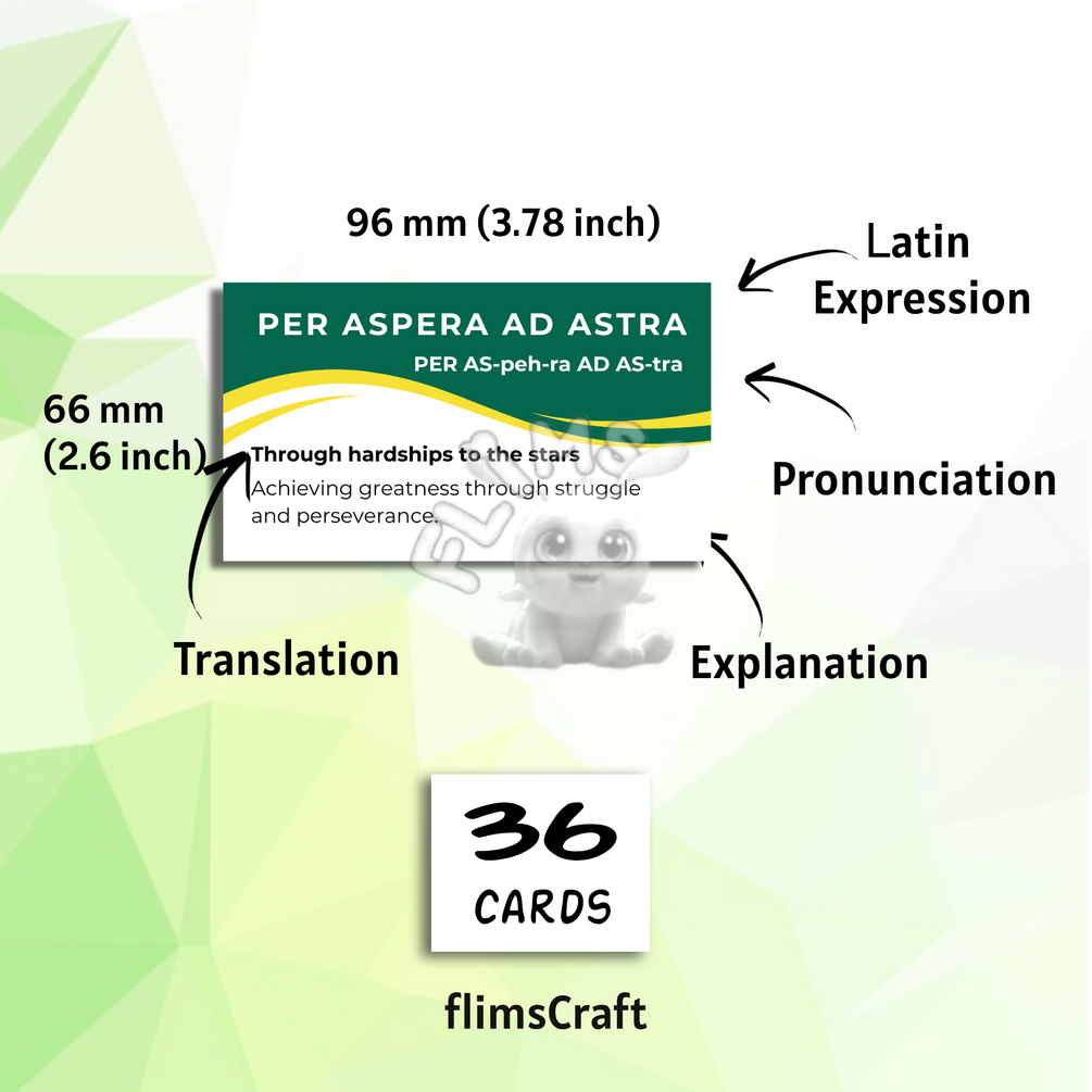 Master Latin Expression with Ease! 36 Flashcards