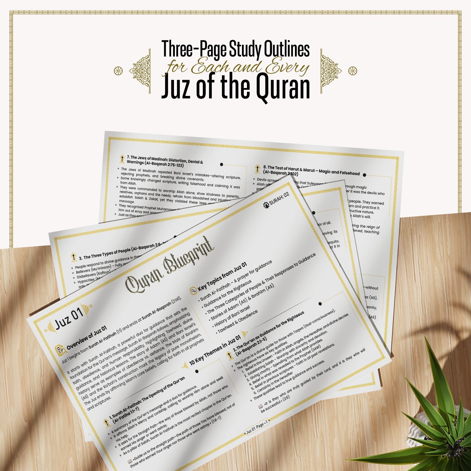 Quran Blueprint - Every Juz in Just 3 Pages!