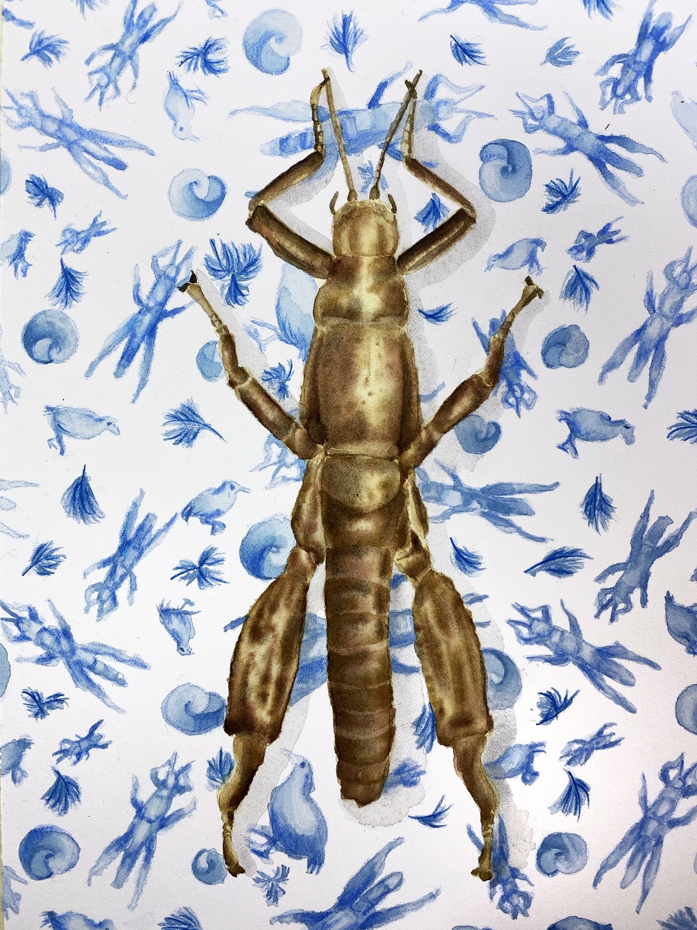 Tree Lobster | AAC