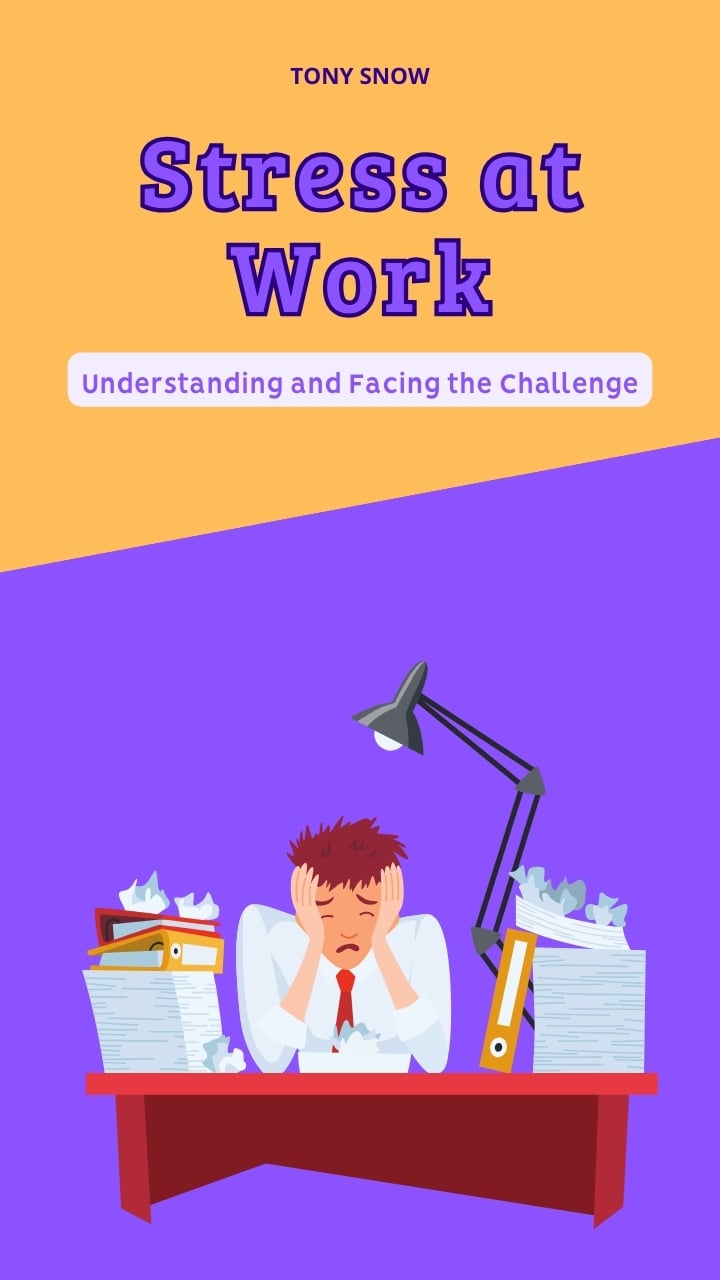 E-book Stress at Work - Understanding and Facing the Challenge