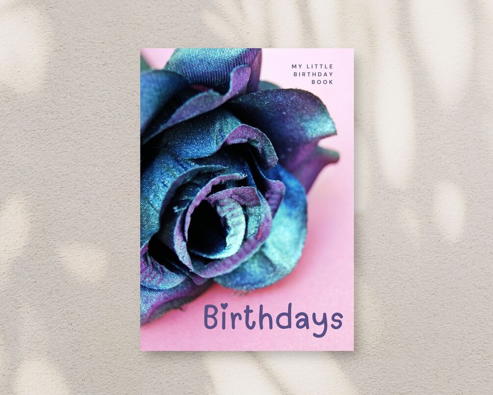 My Little Birthdays Book 04490