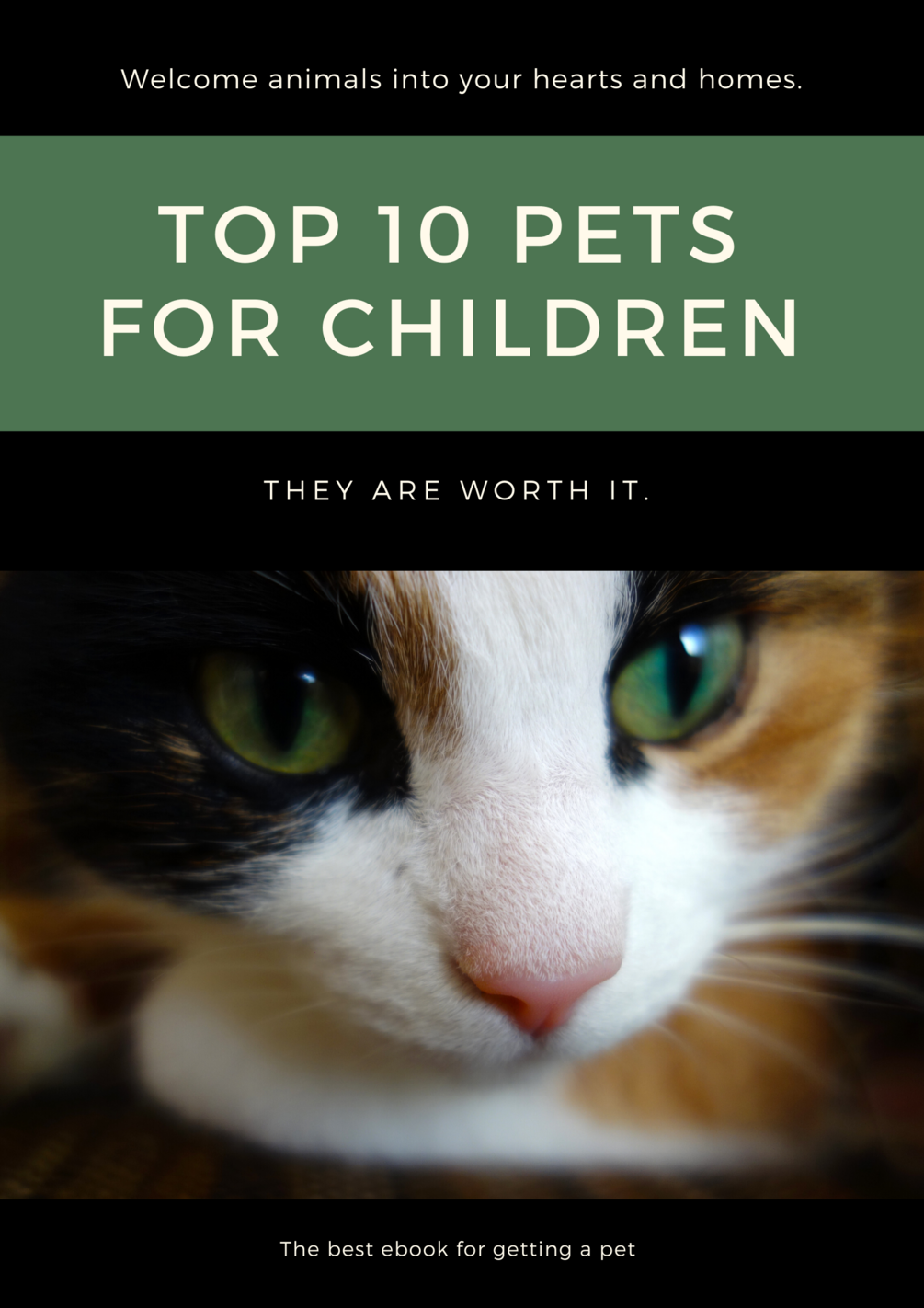 Top 10 Pets for Children – What’s Perfect for your Child