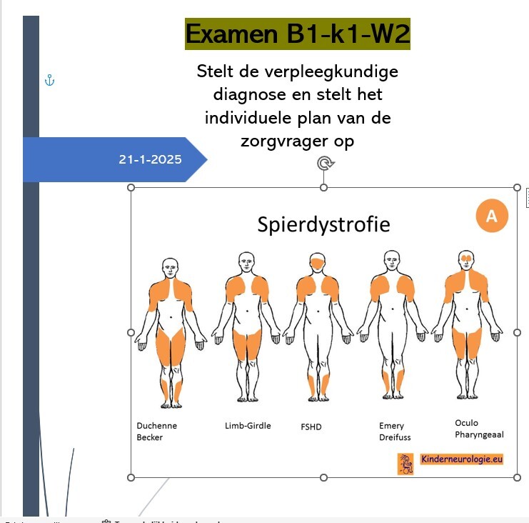 Examen B1-k1-W2 Stelt de verpleegkundige diagnose en stelt het individuele plan van de ...