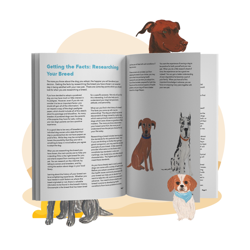 Adopting And Naming Your Dog