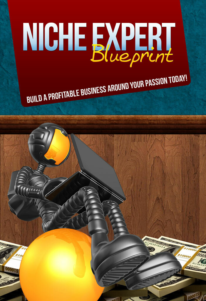Niche Expert Blueprint