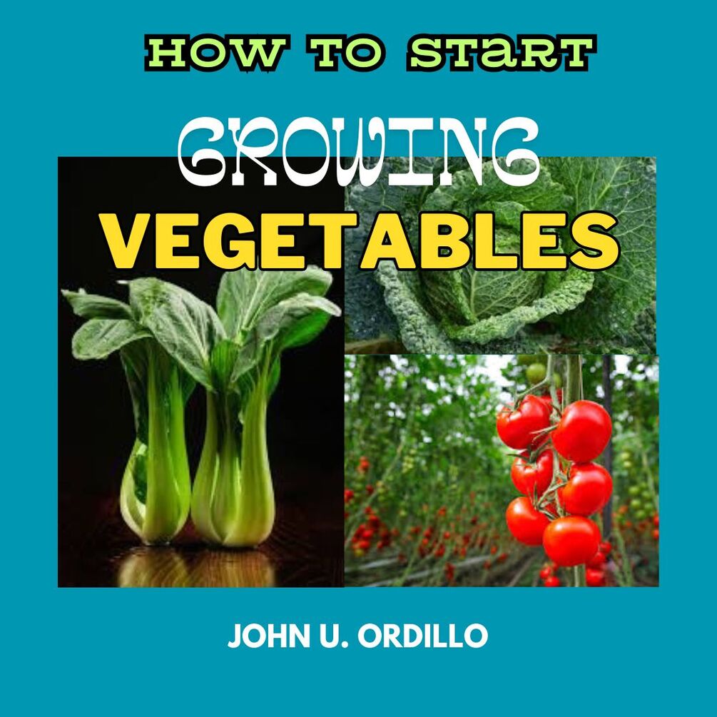 HOW TO START GROWING VEGETABLES