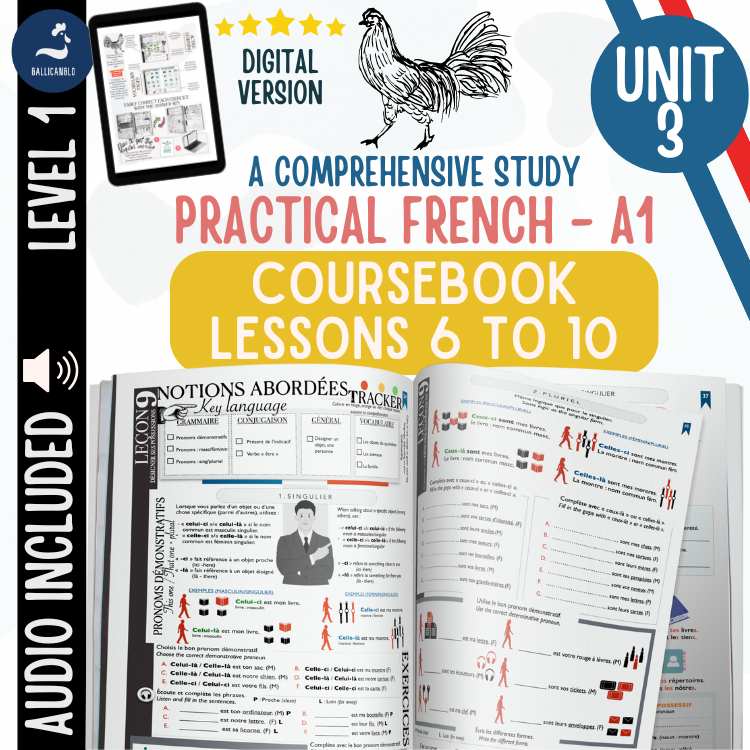 Beginner FRENCH Workbook for self-learners Adjectifs Démonstratifs ...