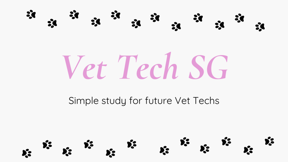 Veterinary Technician Notion Study Guide Overview