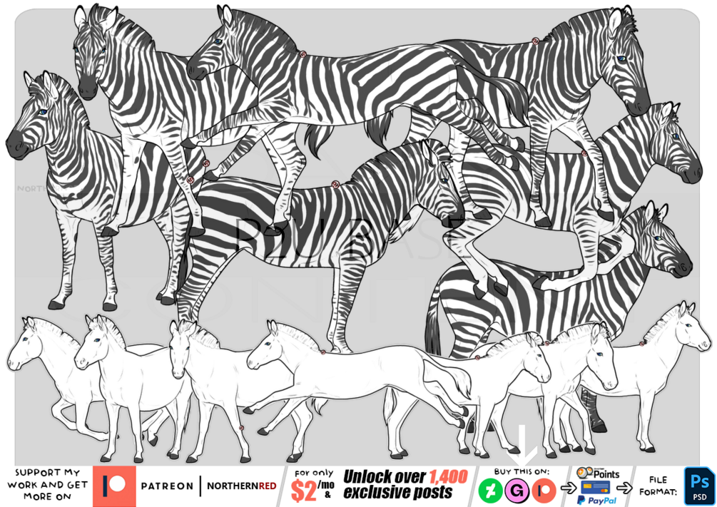 7x ZEBRA (bundle) (+ stripes included)