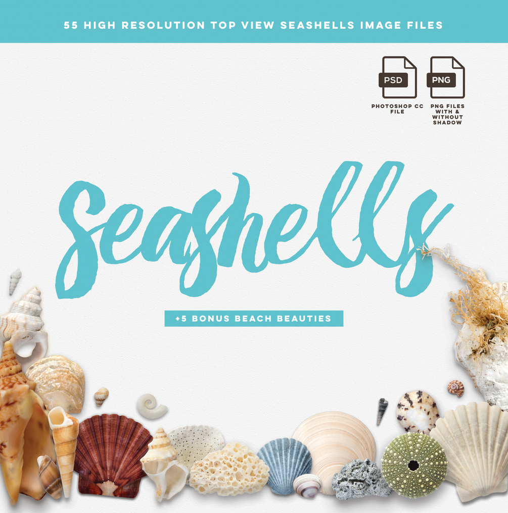 Seashells image files - Mockup Pack