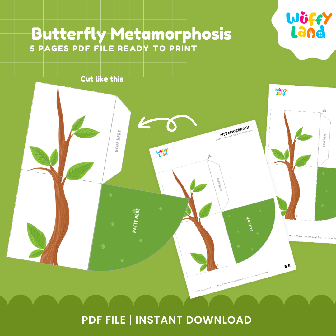 Butterfly Metamorphosis, Crafting for Preschool and Homeschool - Cut ...