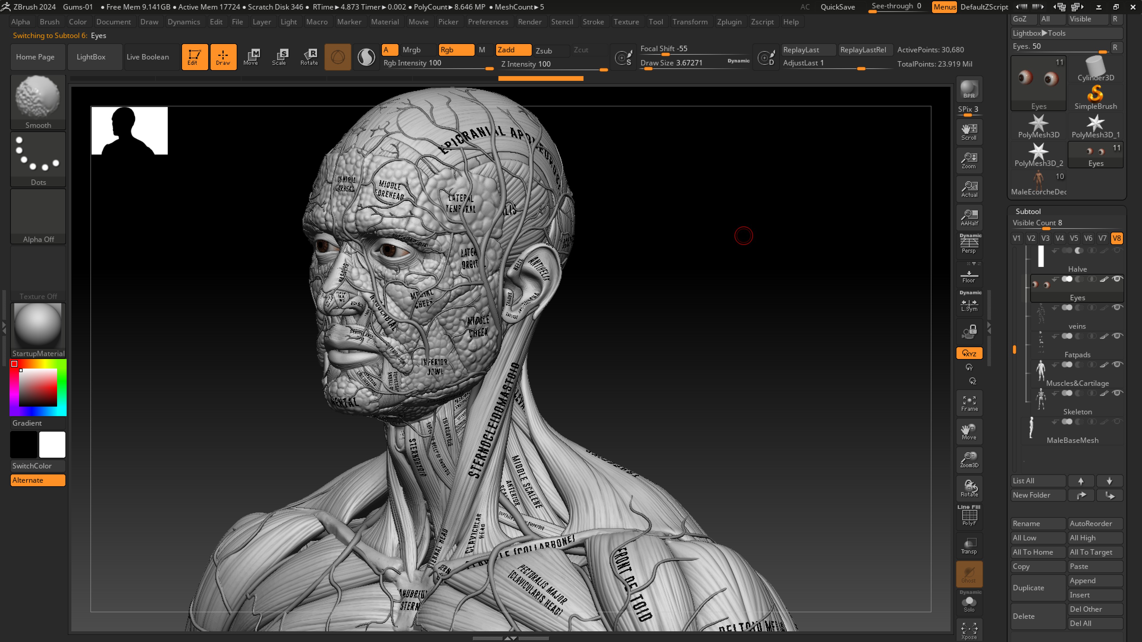 ECORCHE - Realistic Male Full Body Anatomy Model + BASE MESH
